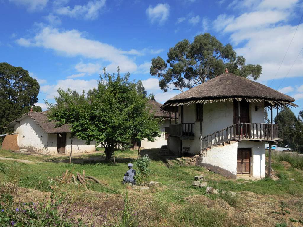 Explore Addis Ababa City tour with Half or full Day | TheNextGuide