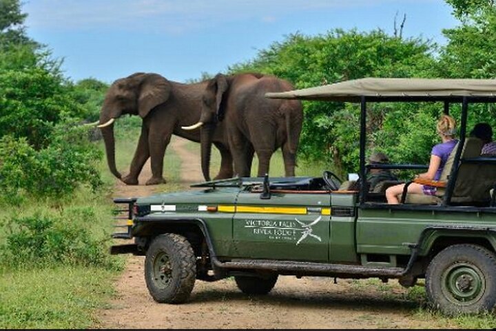 Game Drives in the Zambezi National Park | TheNextGuide