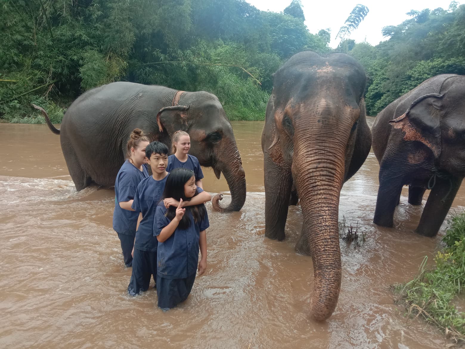 Kuet Chang in 1 Day for Friends - Hug Chang Elephant Sanctuary: observe ...