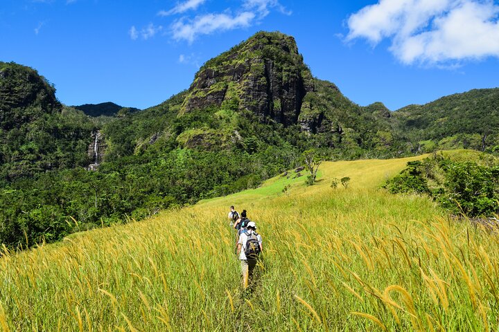 Koroyanitu National Heritage Park Fiji - Hike - Waterfall | TheNextGuide