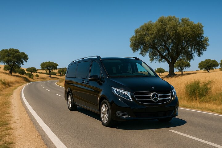 Lisbon in 1 Day for Seniors - Private door-to-door Mercedes (E-Class or ...