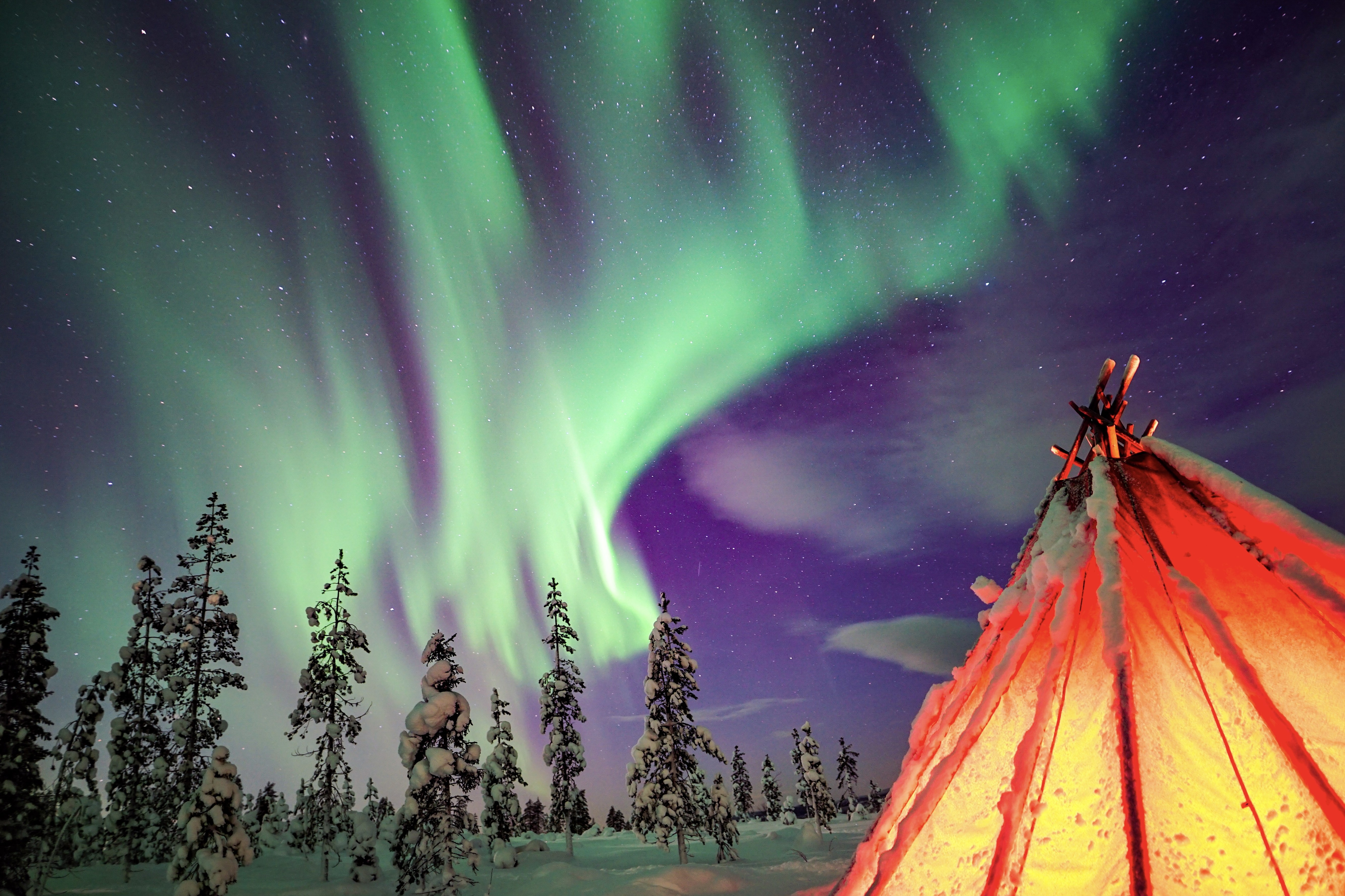 Northern Lights Wilderness Tour with Professional Camera | TheNextGuide