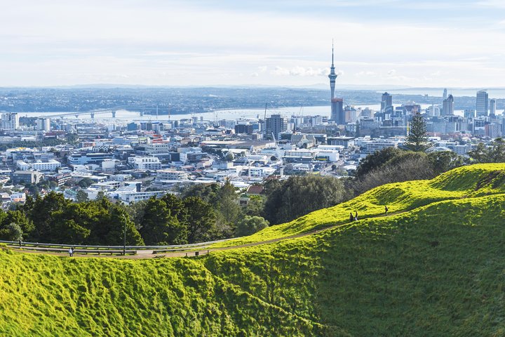 Private Auckland City tour including Mt Eden /Mt Victoria | TheNextGuide