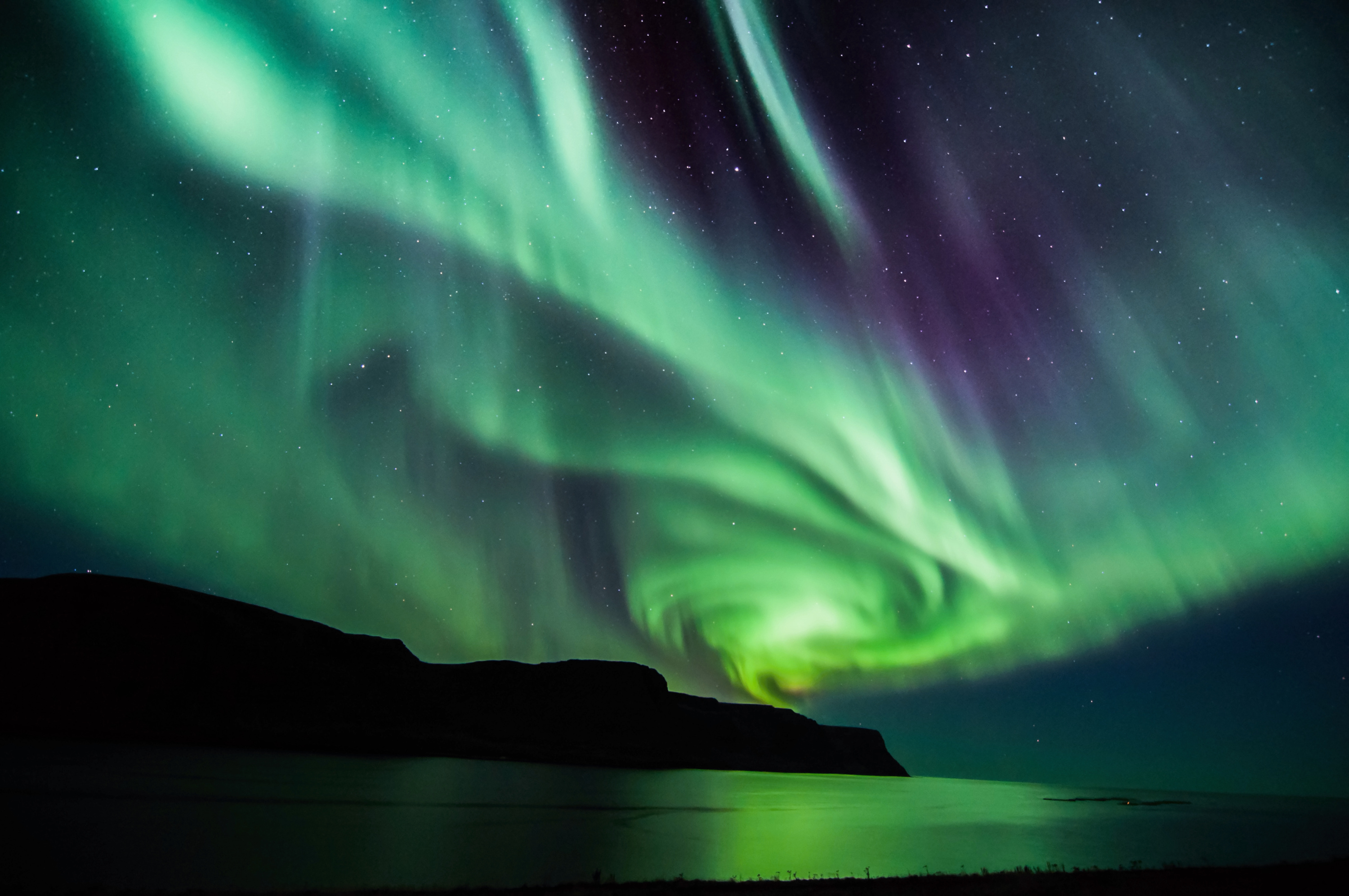 The #1 Northern Lights Tour in Iceland | PRO photos, Homemade Hot ...